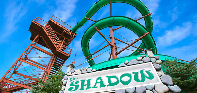 Shadow - Enchanted Forest Water Safari