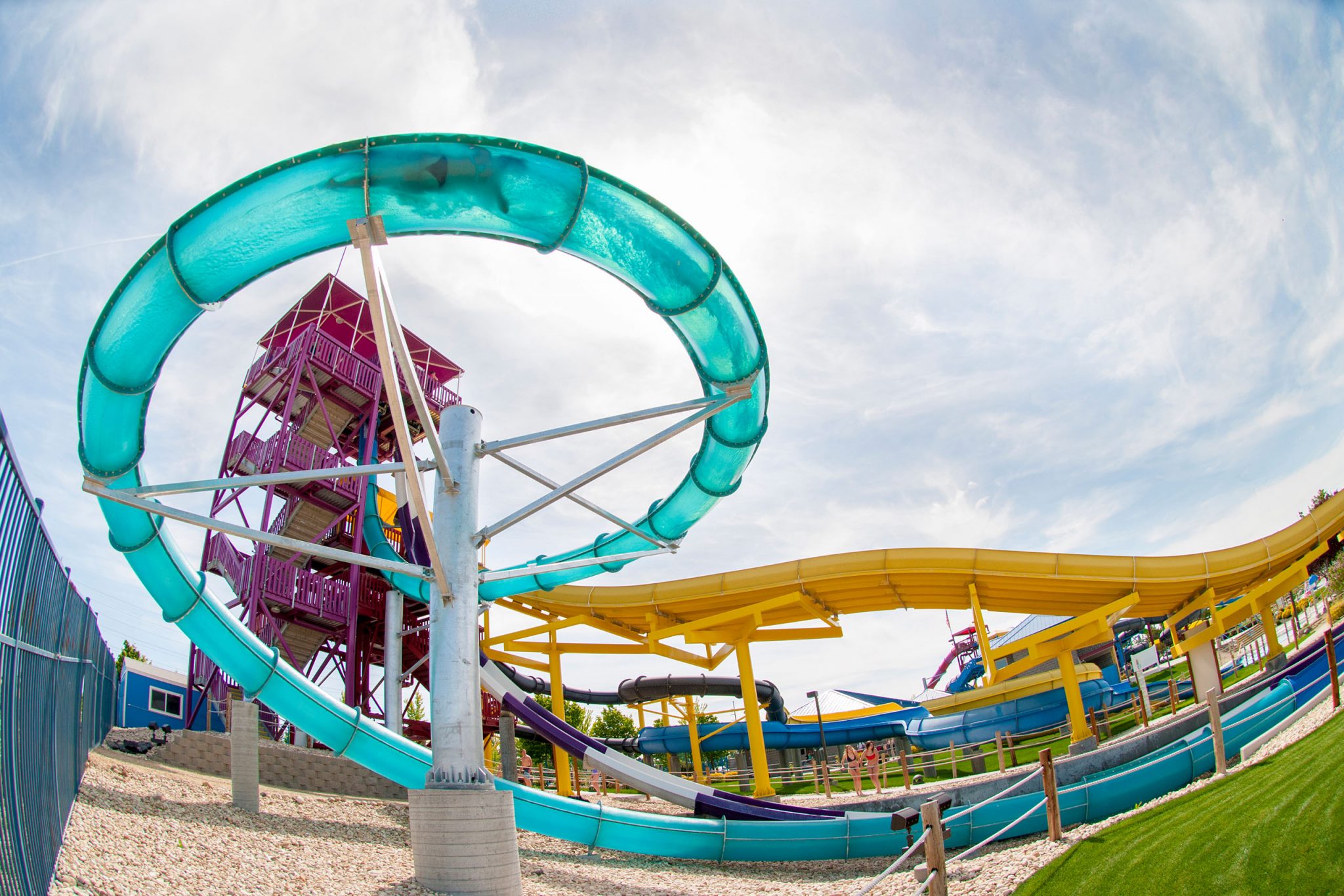 Media Center - Enchanted Forest Water Safari