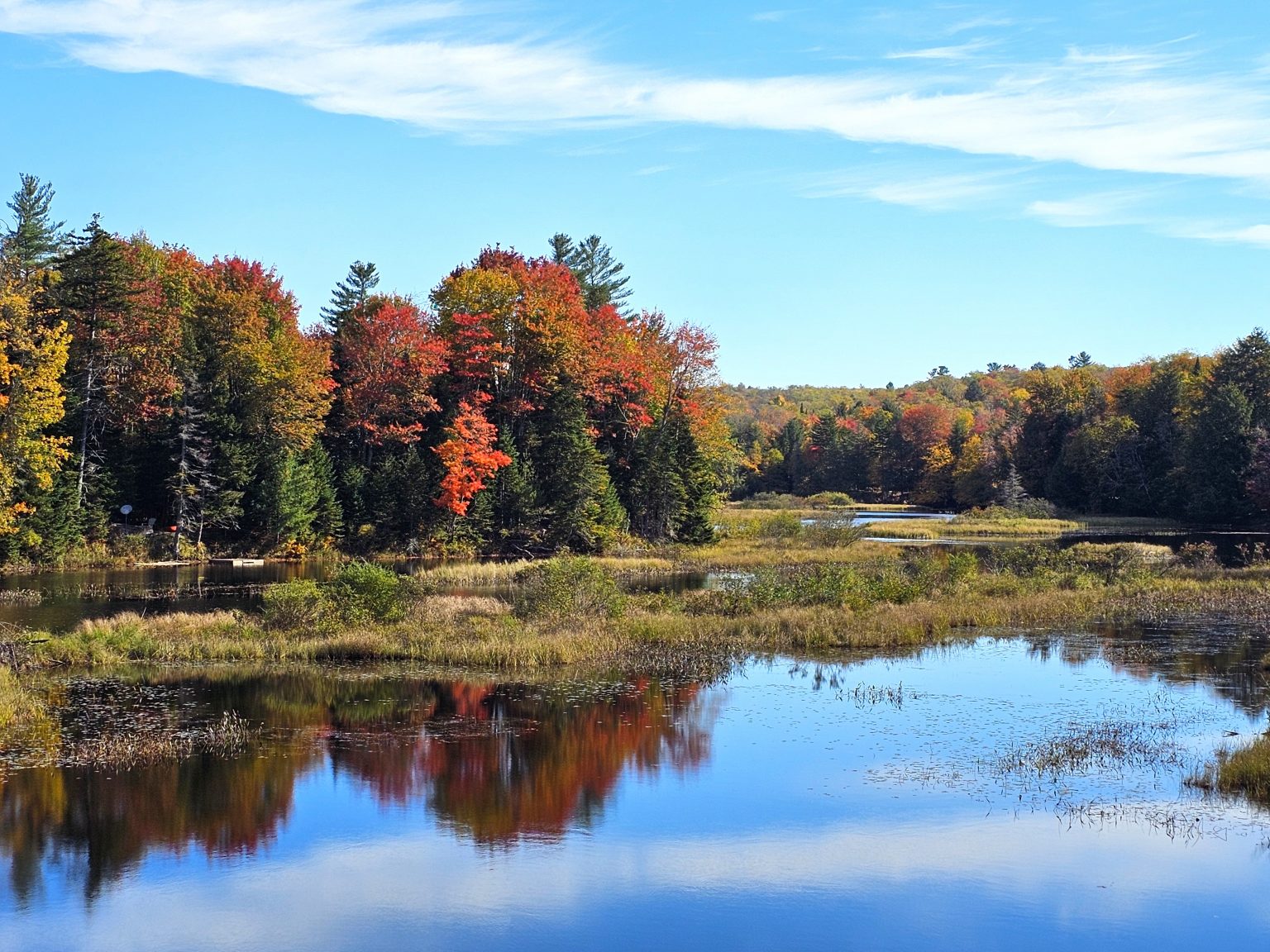 Autumn in the Adirondacks - Enchanted Forest Water Safari