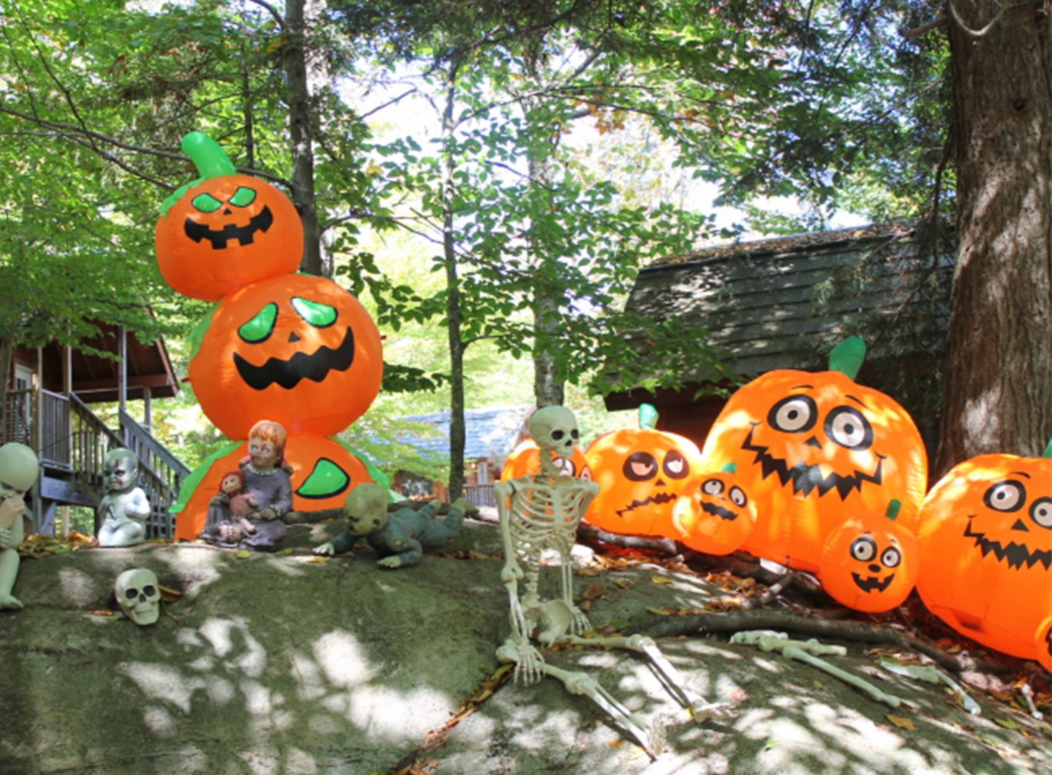 Autumn Adventure at Water Safari Resort - Enchanted Forest Water Safari